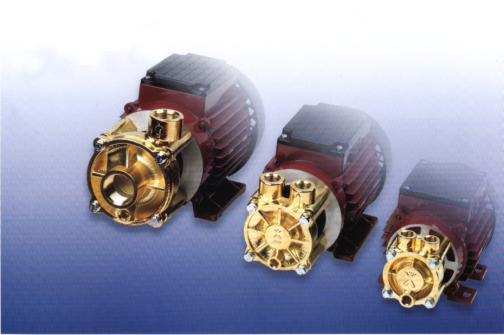 Small centrifugal pumps - TUMA Pumpen